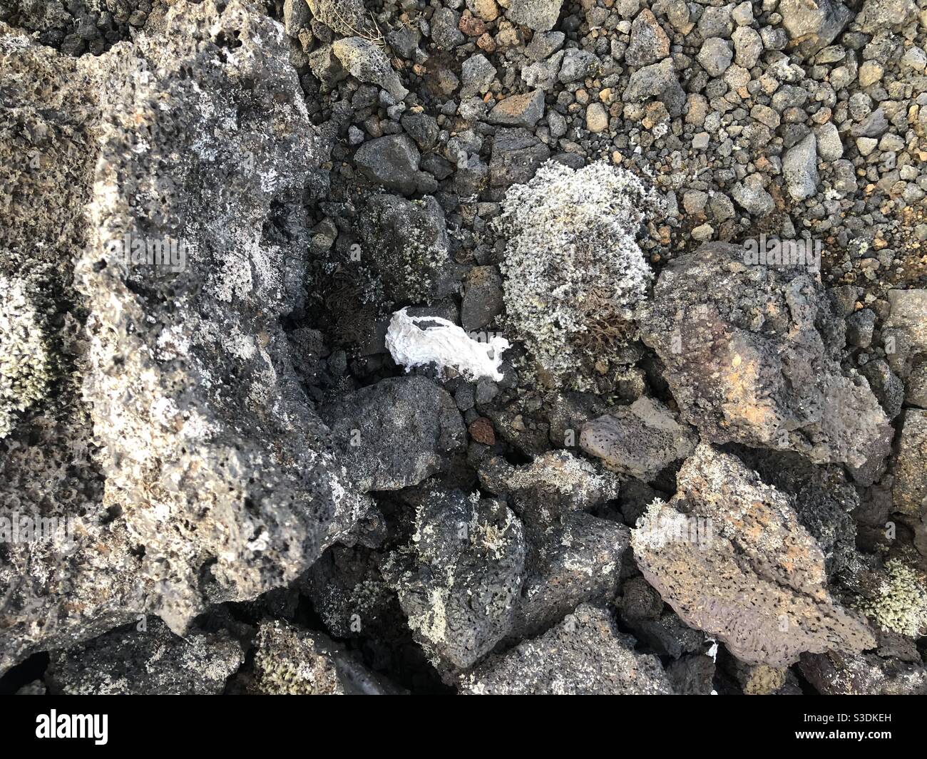 Rough lava rocks hi-res stock photography and images - Alamy