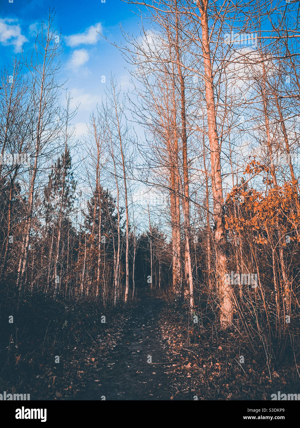 London loop hi-res stock photography and images - Alamy