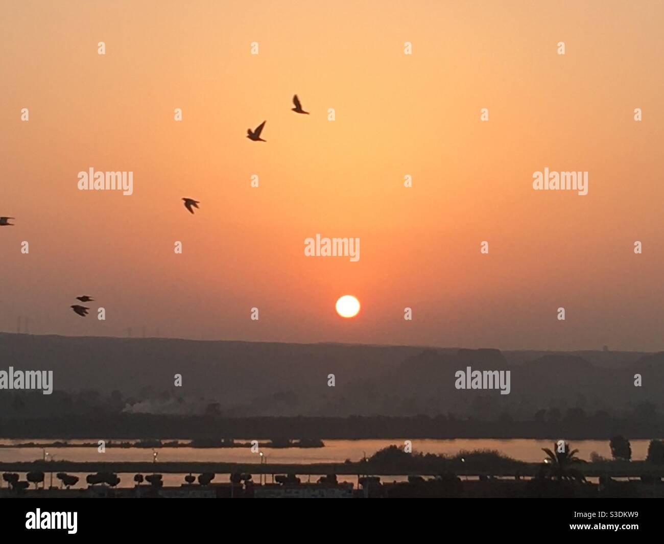 Nile birds hi-res stock photography and images - Alamy