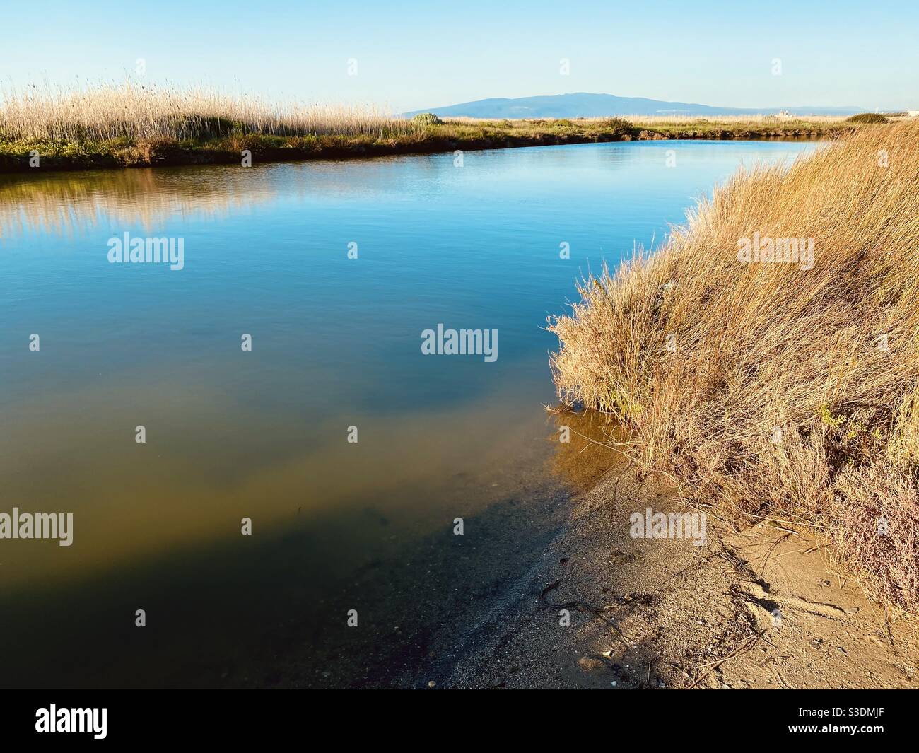 A wetland landscape shows a water pond surrounded by golden and green ...
