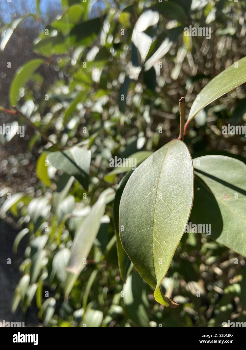 Beau temps hi-res stock photography and images - Alamy