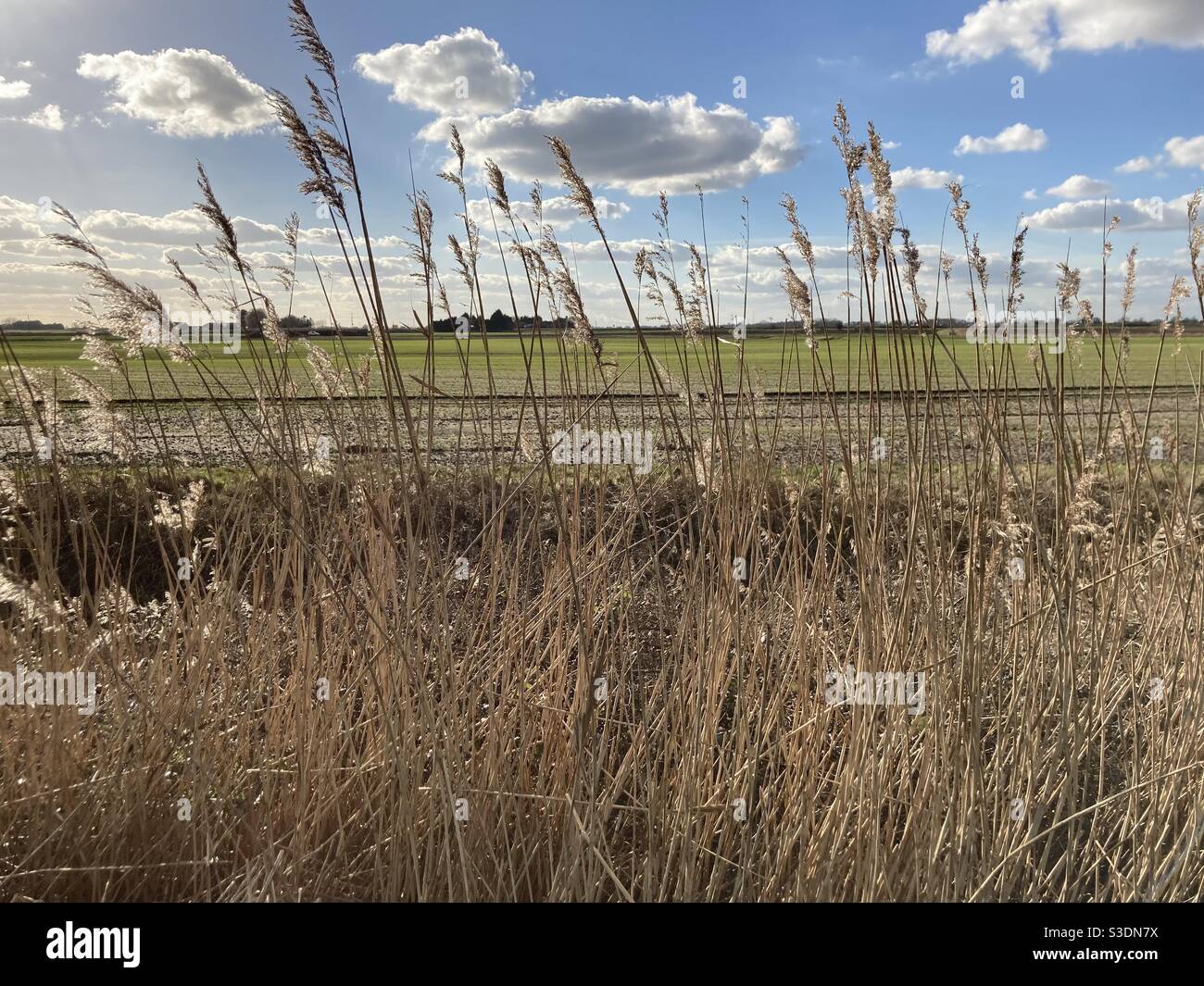 Wind rings hi-res stock photography and images - Alamy