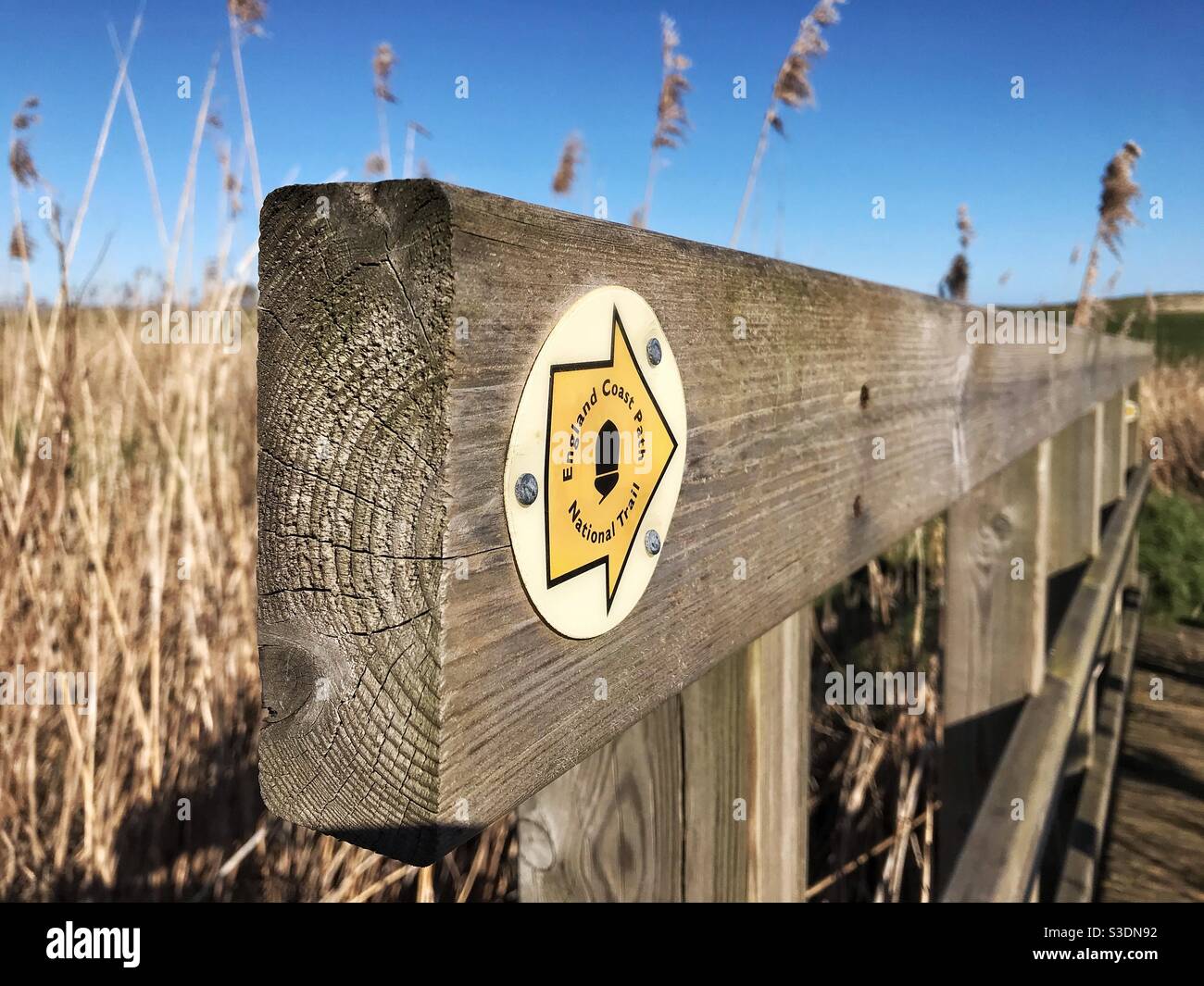 England coast path acorn hi-res stock photography and images - Alamy