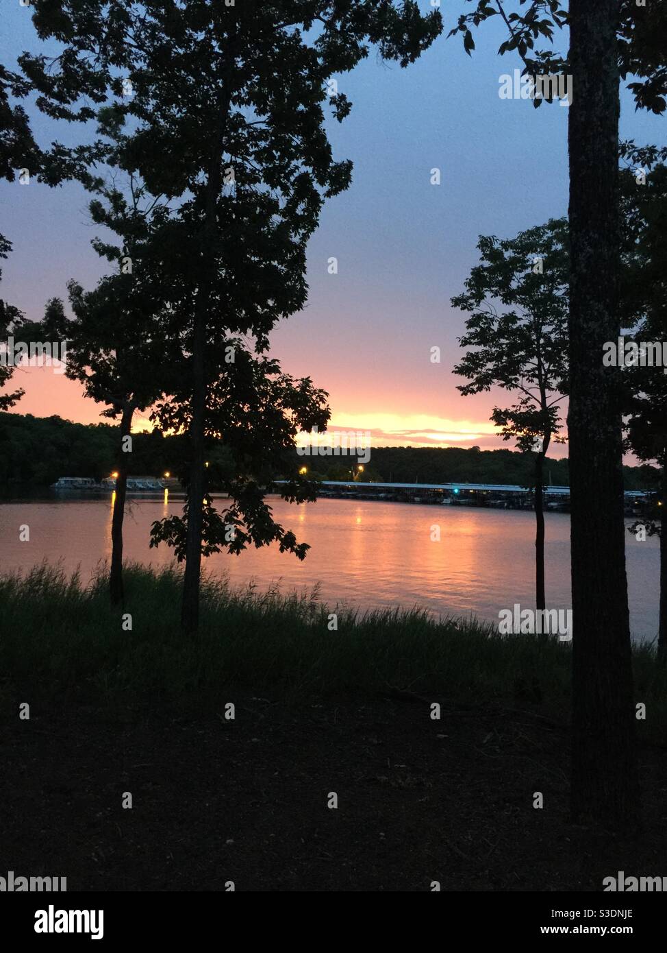 Between the trees sunset Stock Photo - Alamy