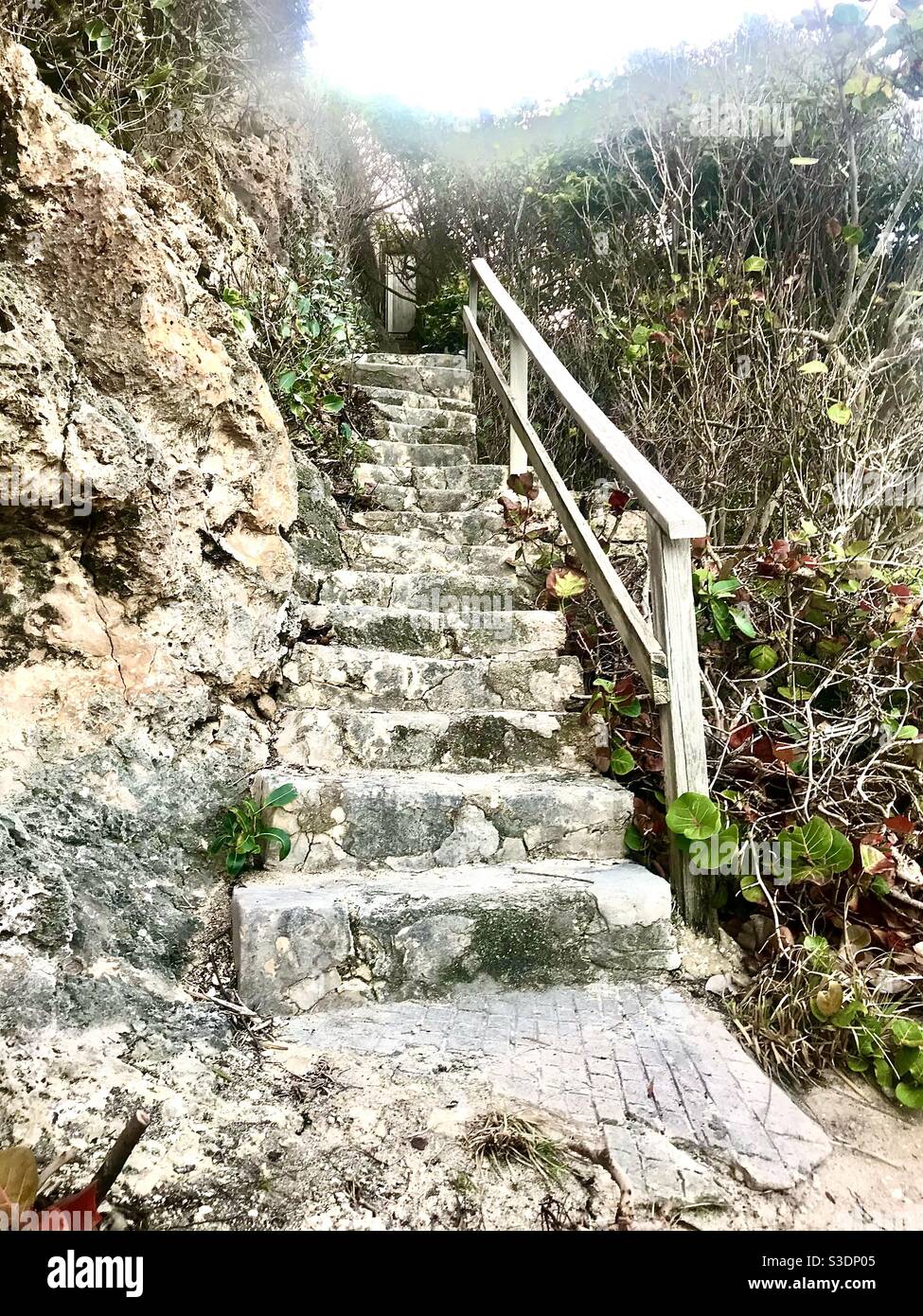 The path less travelled Stock Photo - Alamy