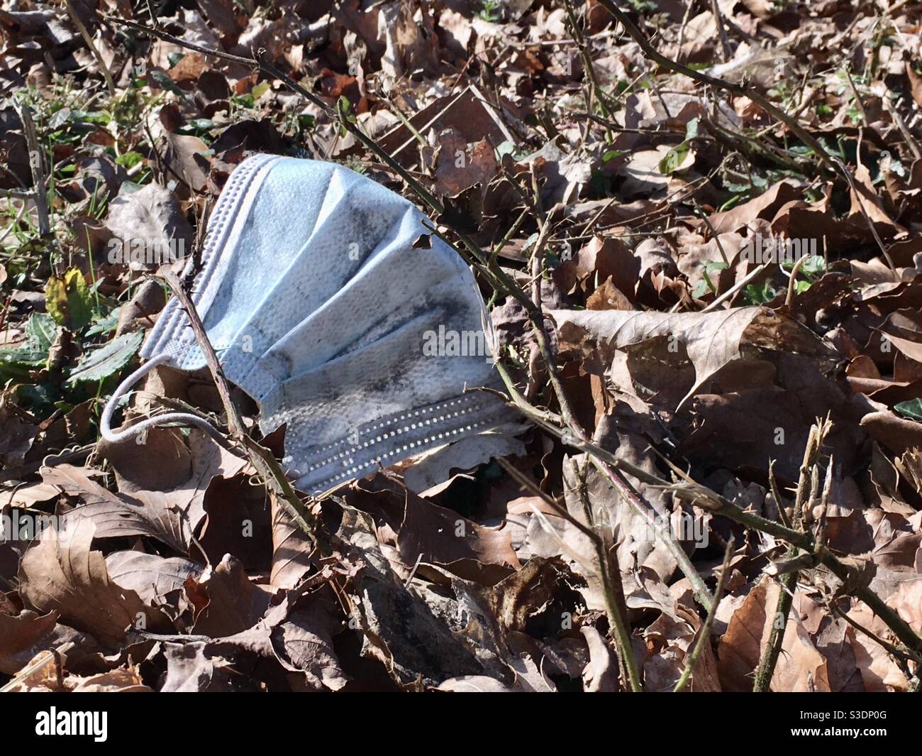 Discarded Personal Protective Equipment Face Mask On Leaves Stock Photo ...