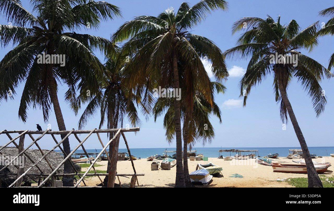 Jaffna sri lanka beach hi-res stock photography and images - Alamy