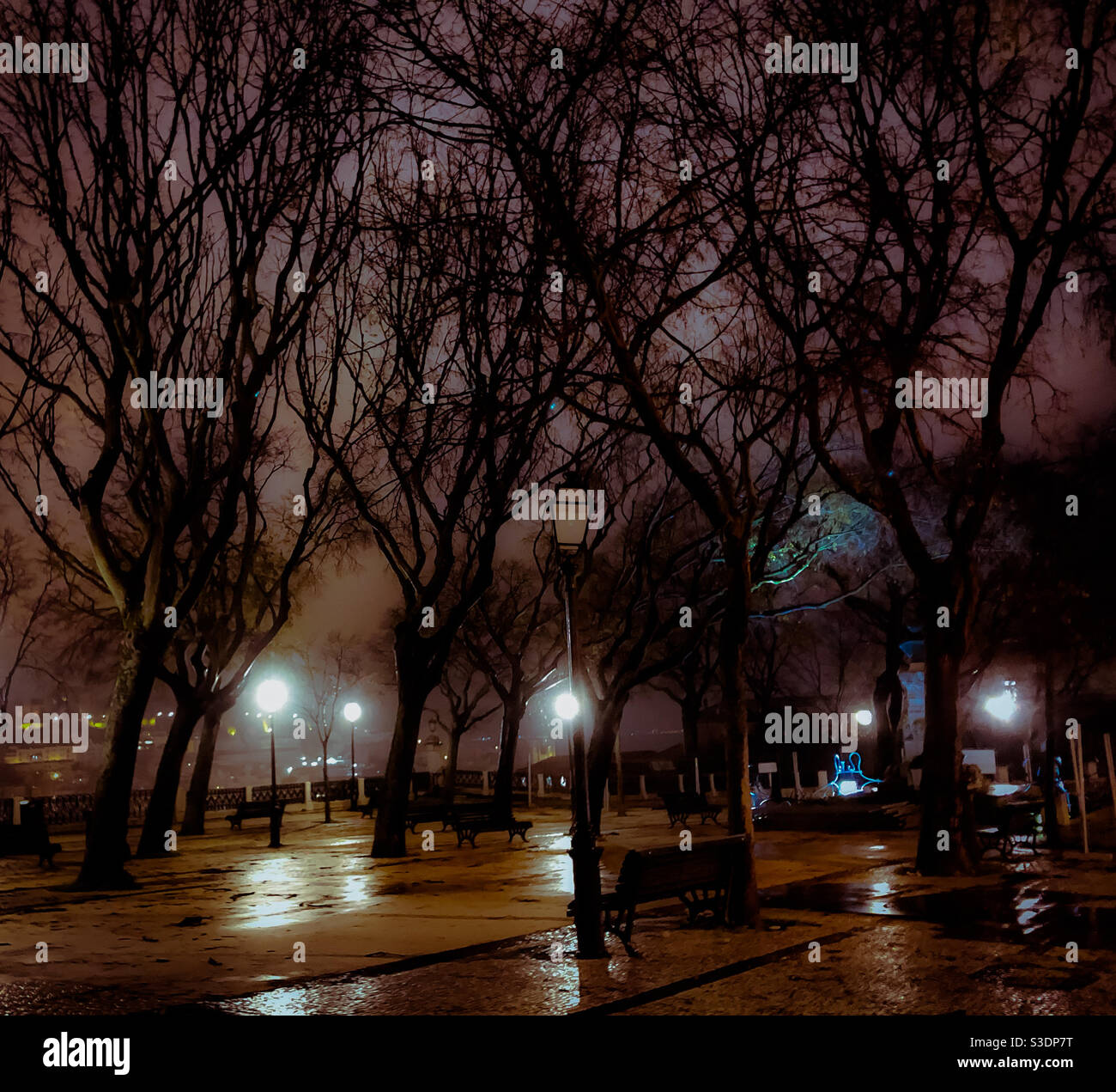 Trees and street hi-res stock photography and images - Alamy