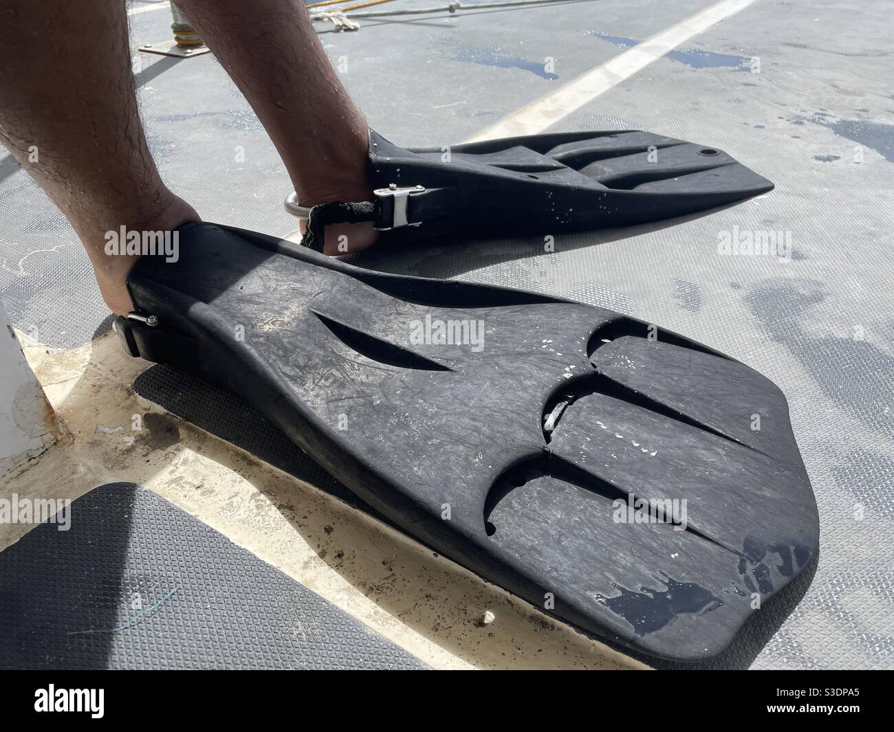 Flipper Feet High Resolution Stock Photography and Images - Alamy