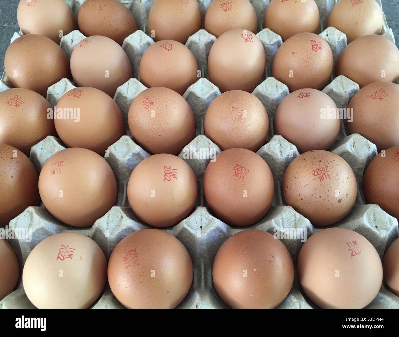 Free range hens eggs hi-res stock photography and images - Alamy