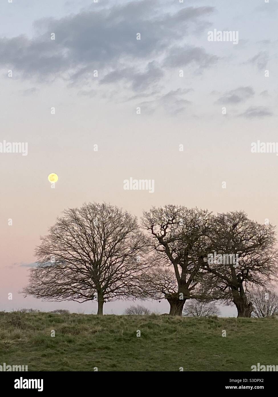 Full moon and sunset hi-res stock photography and images - Alamy