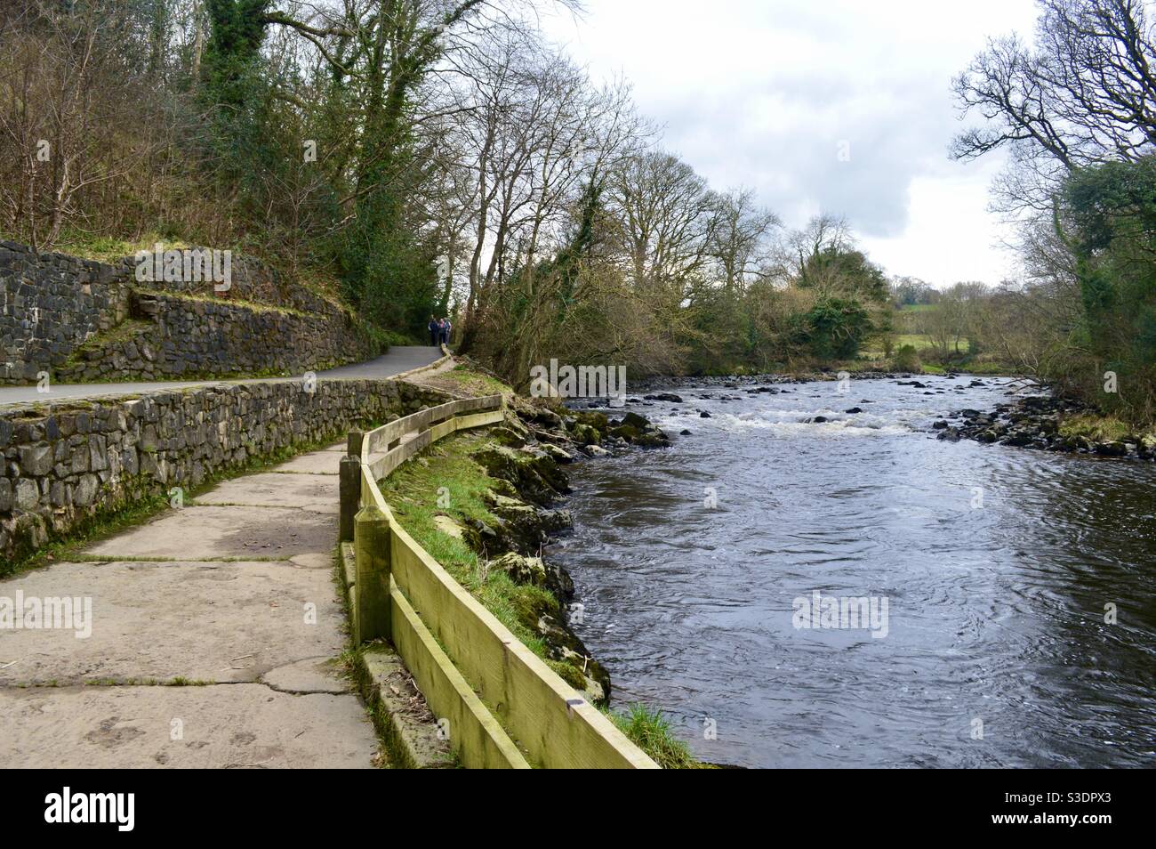 Roe Valley Country Park High Resolution Stock Photography and Images ...