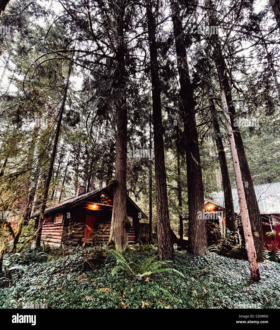 Little cabin in the woods Stock Photo - Alamy