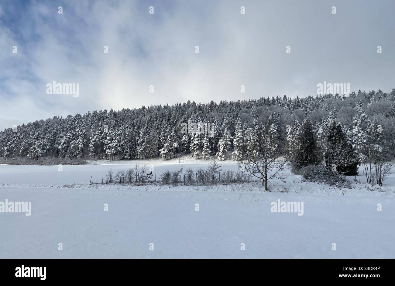 Wintry with sun hi-res stock photography and images - Alamy