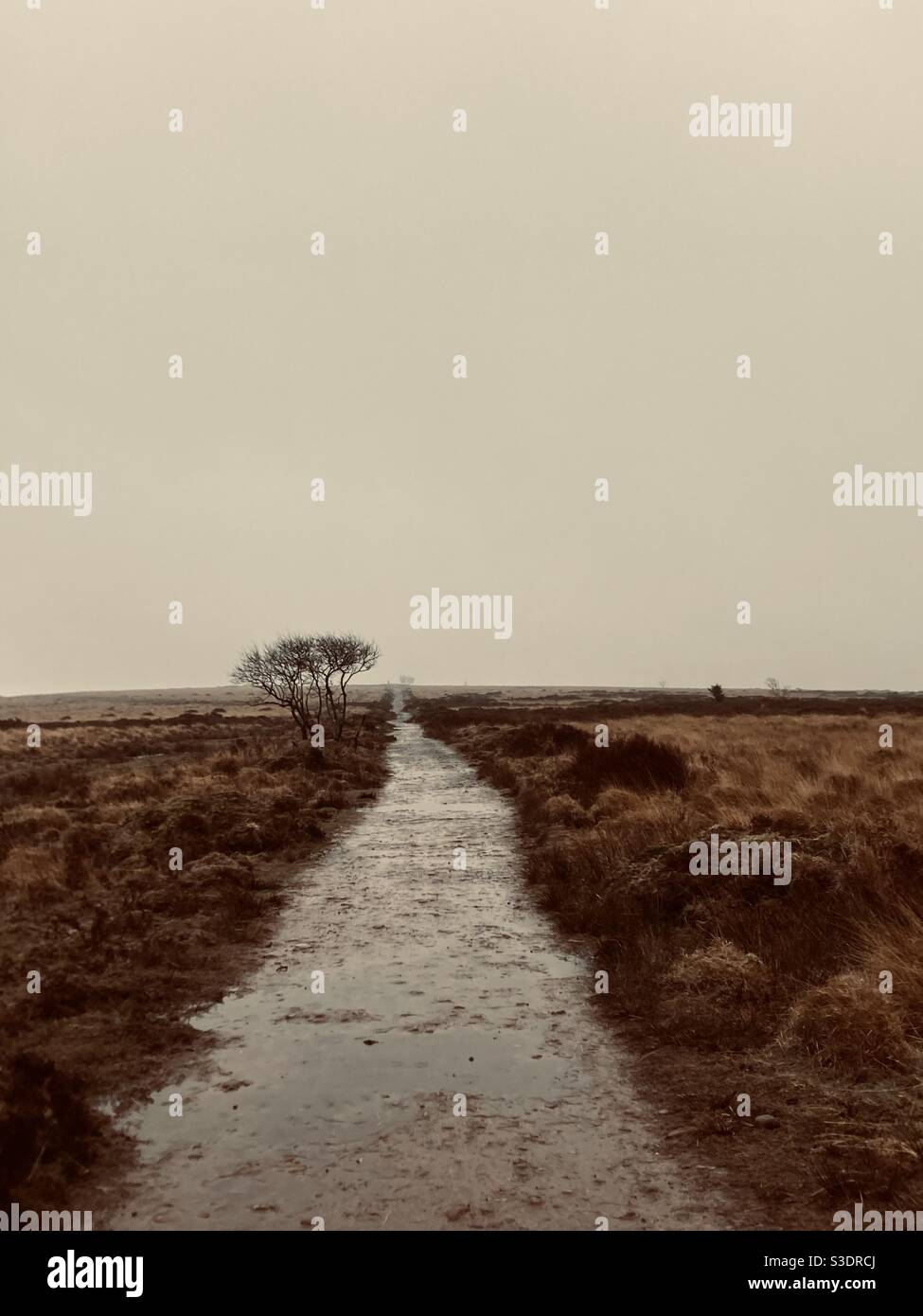 Long path hi-res stock photography and images - Alamy