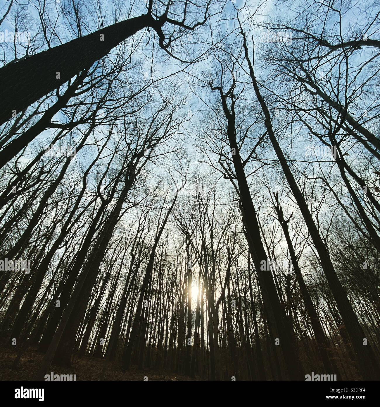 Am i alive hi-res stock photography and images - Alamy