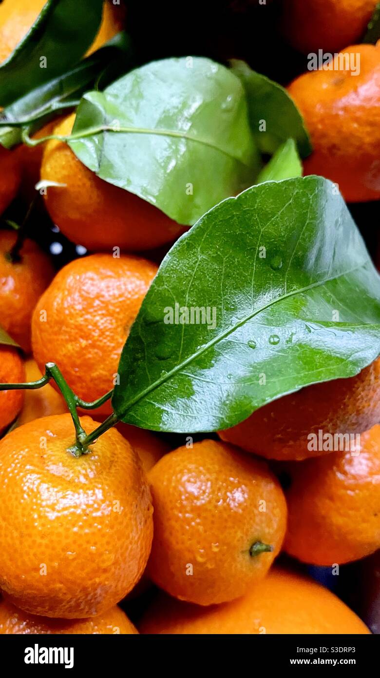 Chinese new year wallpaper hi-res stock photography and images - Alamy