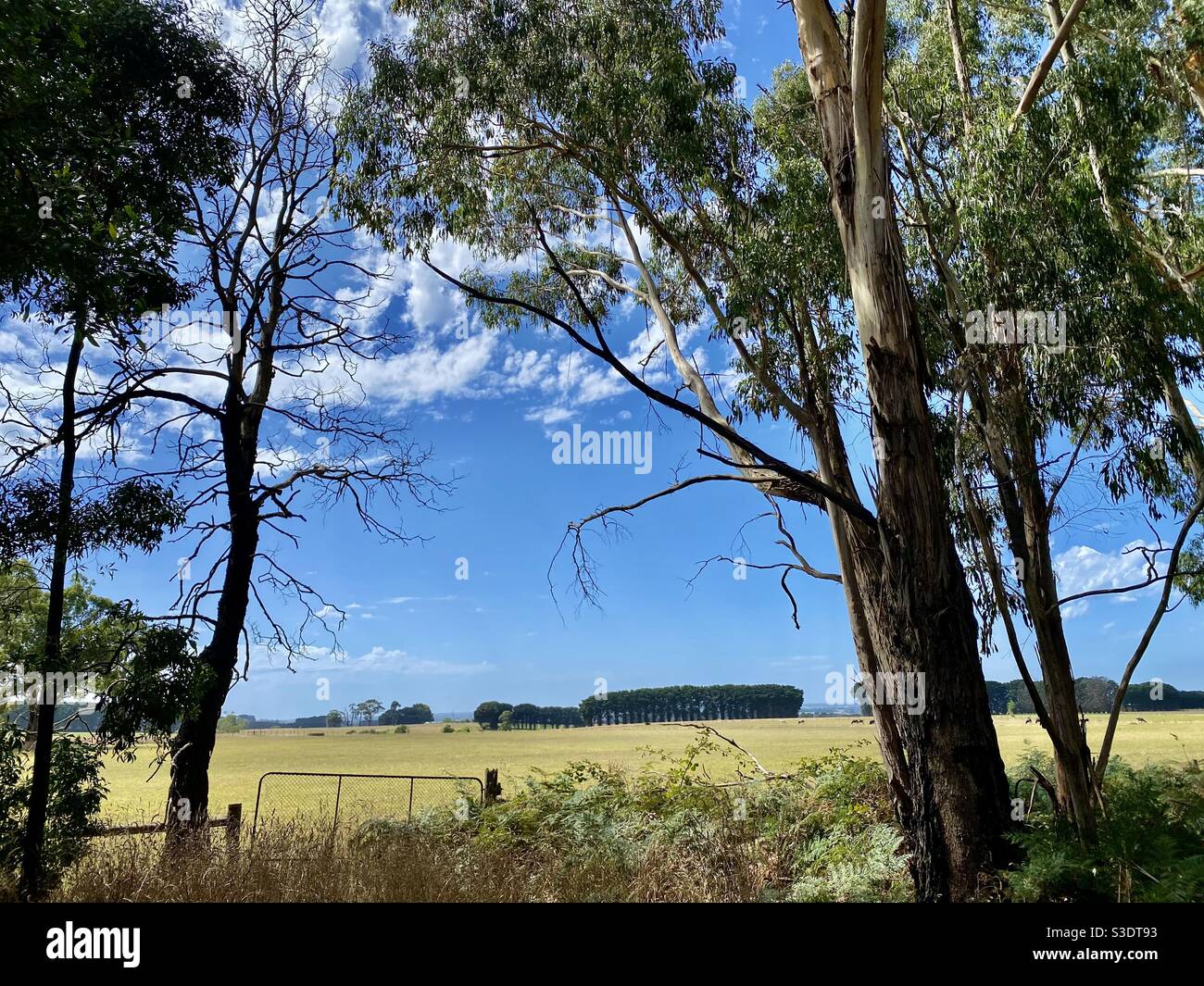 Cobden hi-res stock photography and images - Alamy