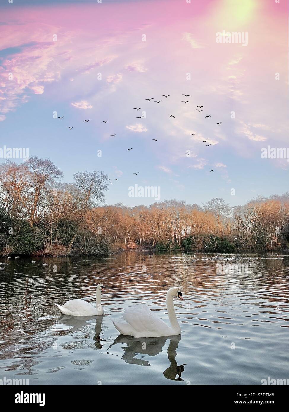 Heaton park hi-res stock photography and images - Alamy