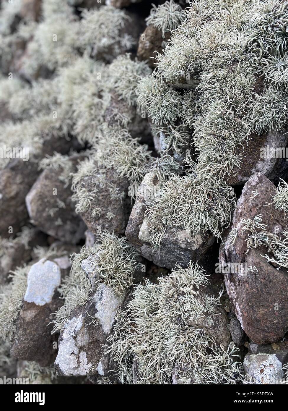 The Characters Of Frozen High Resolution Stock Photography and Images ...