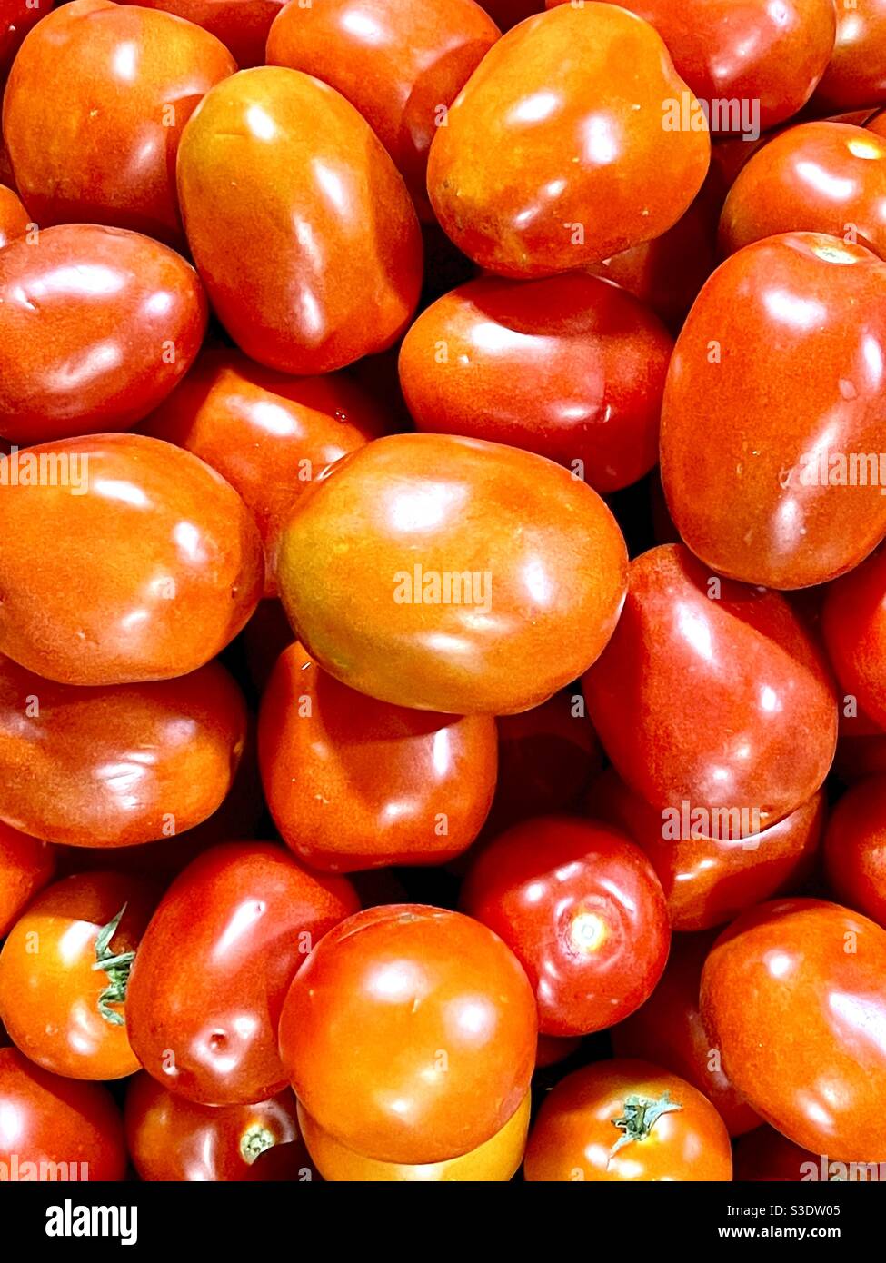 Red berry tomatoes hi-res stock photography and images - Alamy