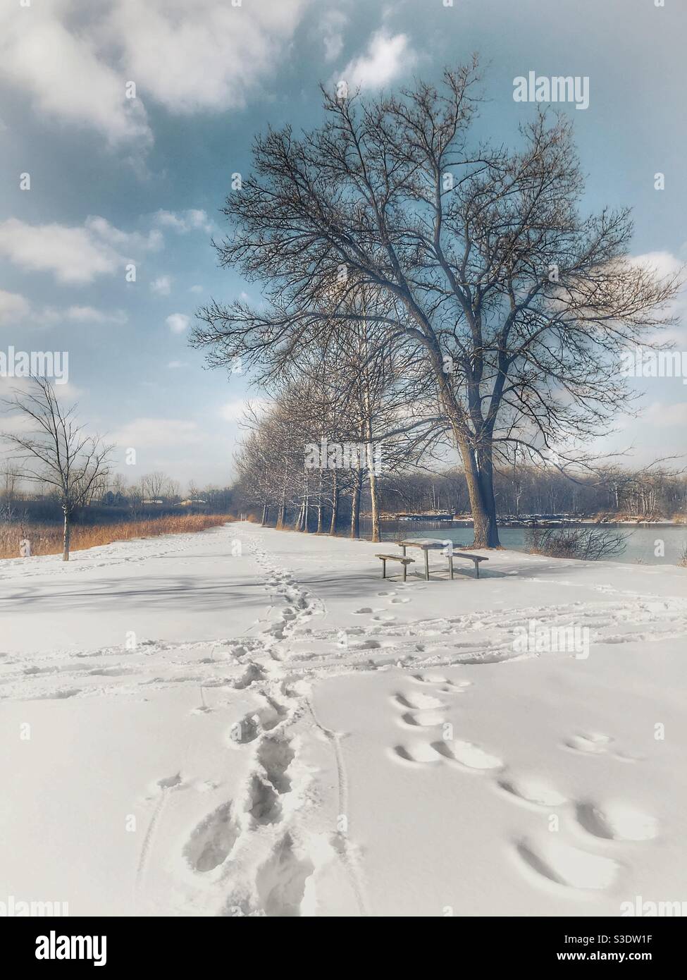 Footprints in the snow Stock Photo - Alamy