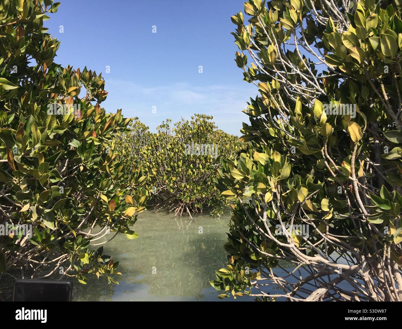 Harra hi-res stock photography and images - Alamy