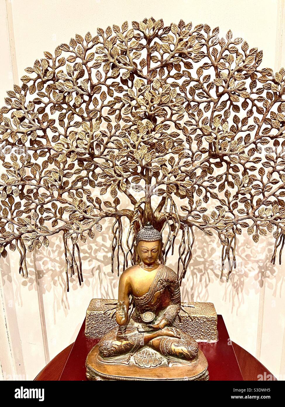 God under tree hi-res stock photography and images - Alamy