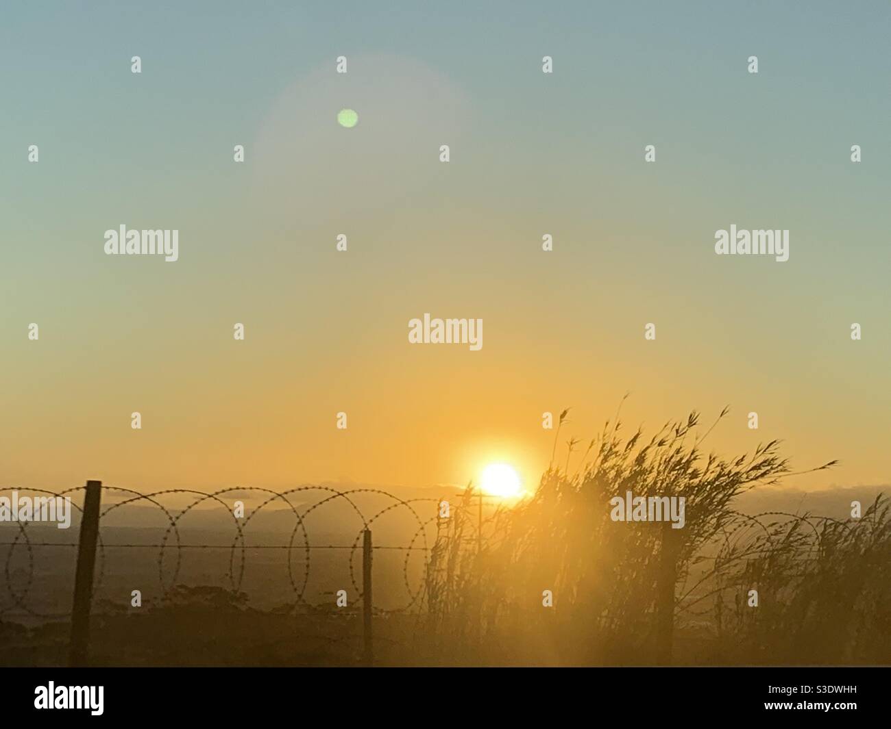 Razor grass hi-res stock photography and images - Alamy