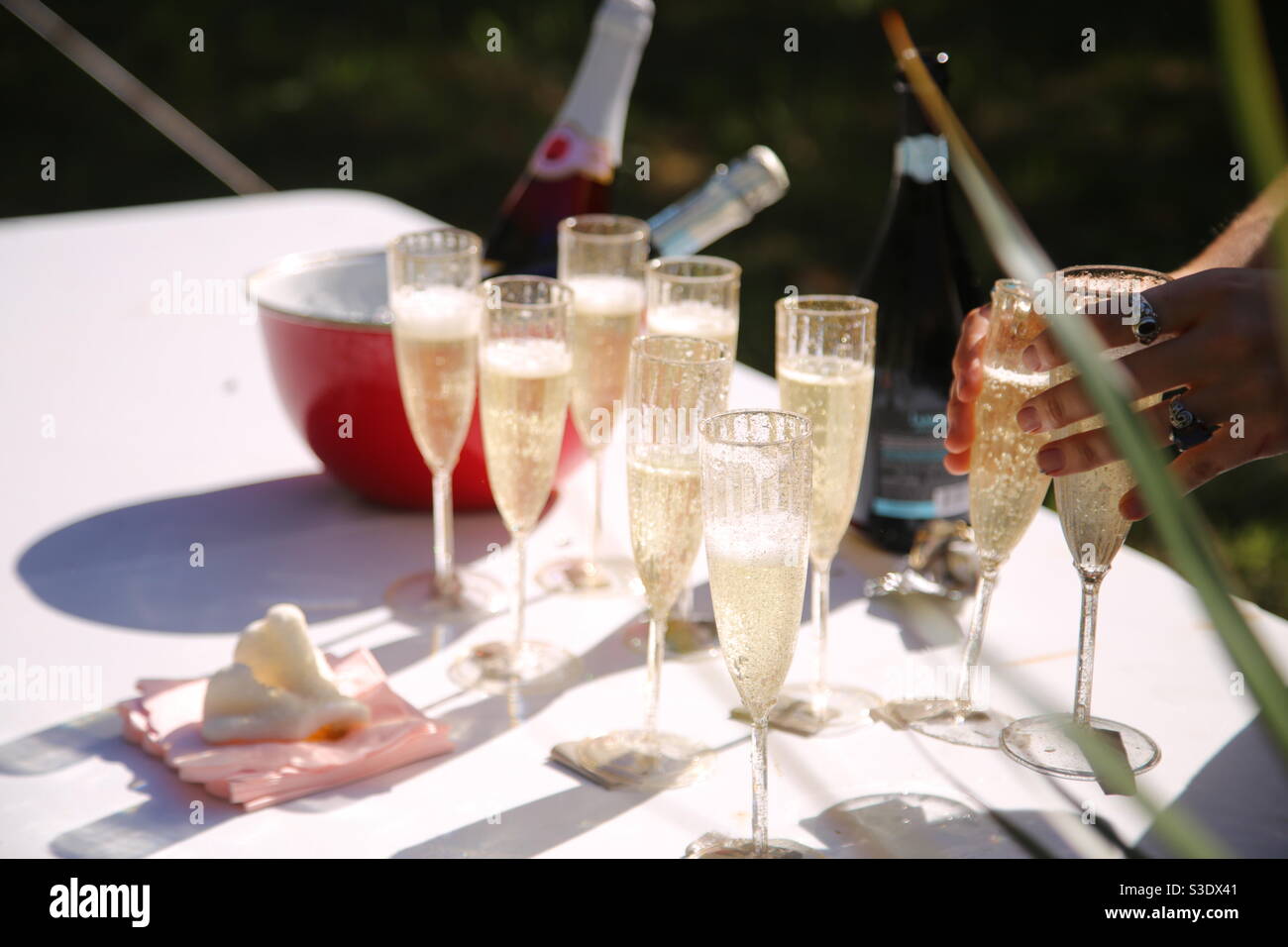 Champagne toast at wedding hi-res stock photography and images - Alamy