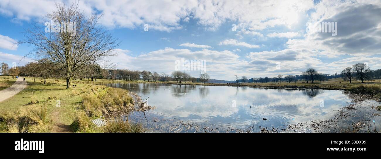 Tatton Mere, Knutsford, Cheshire ... Clouds reflecting on still lake ...