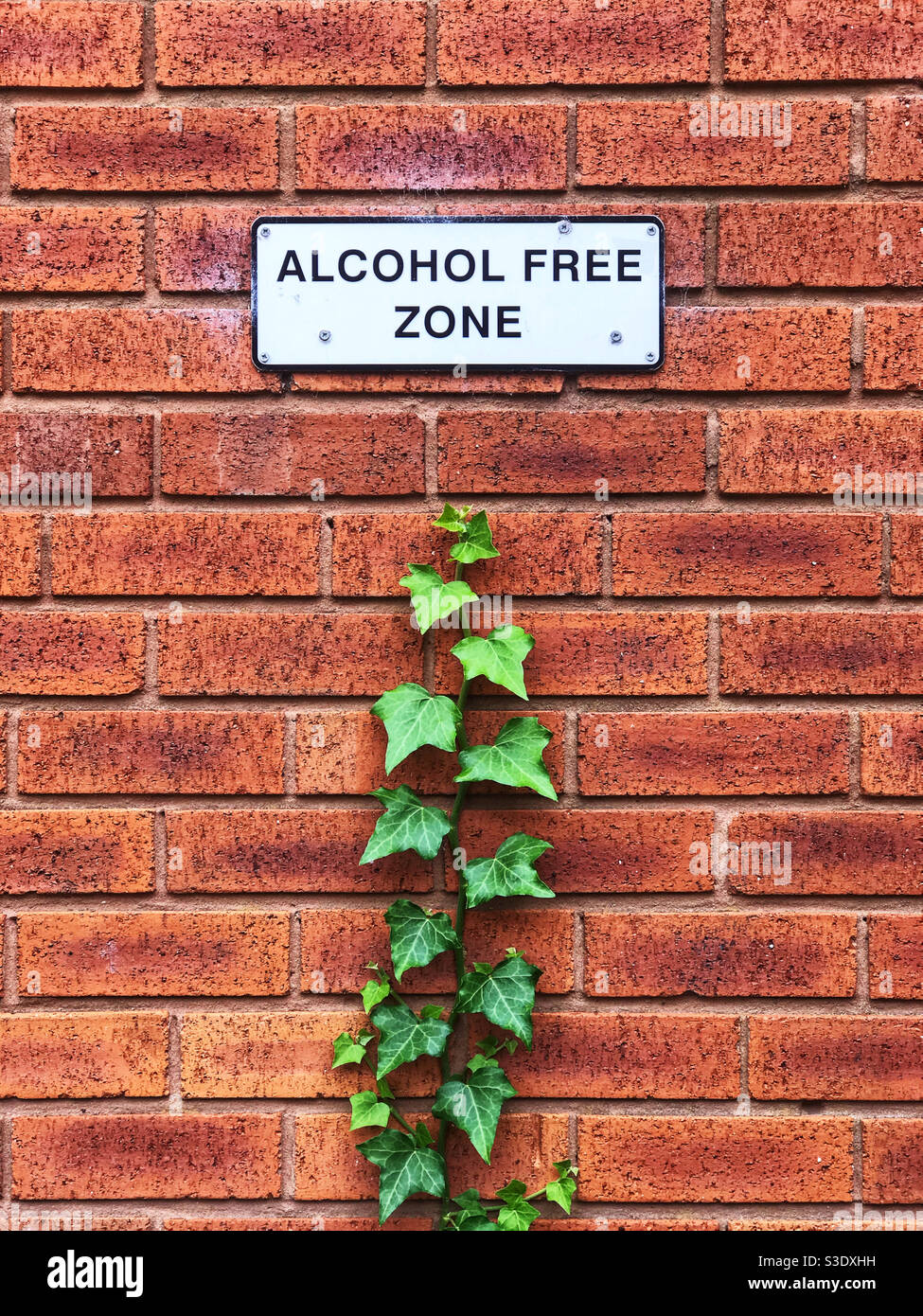A tendril of ivy growing up a brick wall, pointing towards the “Alcohol ...