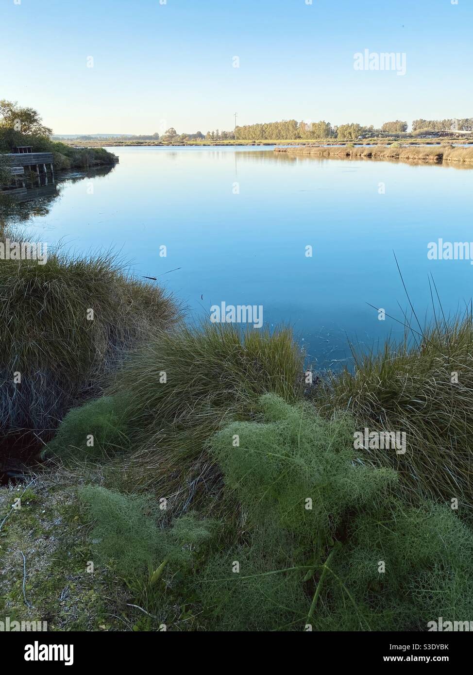Landscape format wetland scenic view hi-res stock photography and ...