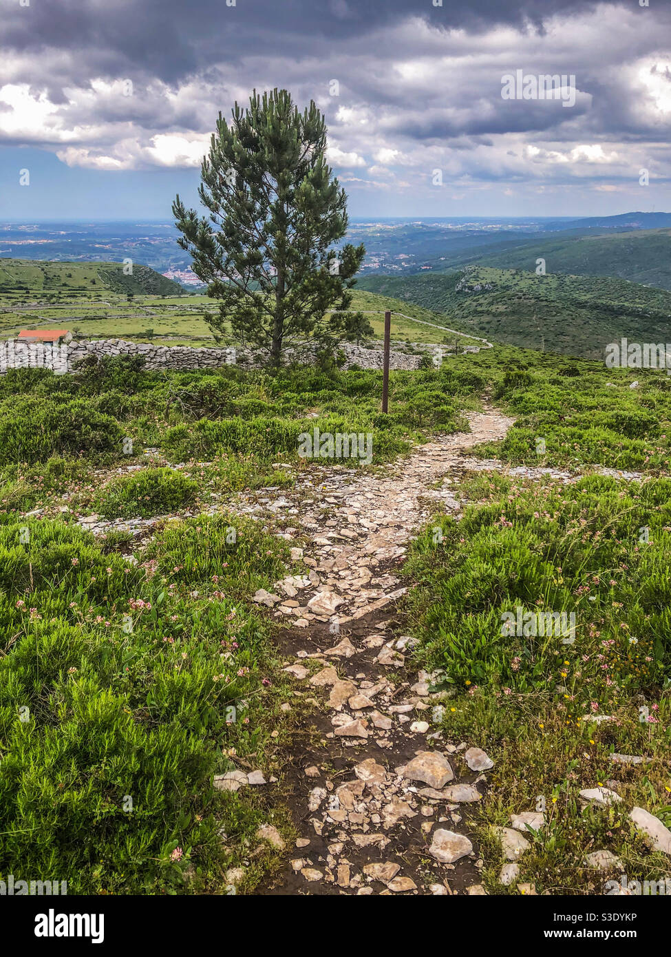 Porto de mos portugal hi-res stock photography and images - Alamy