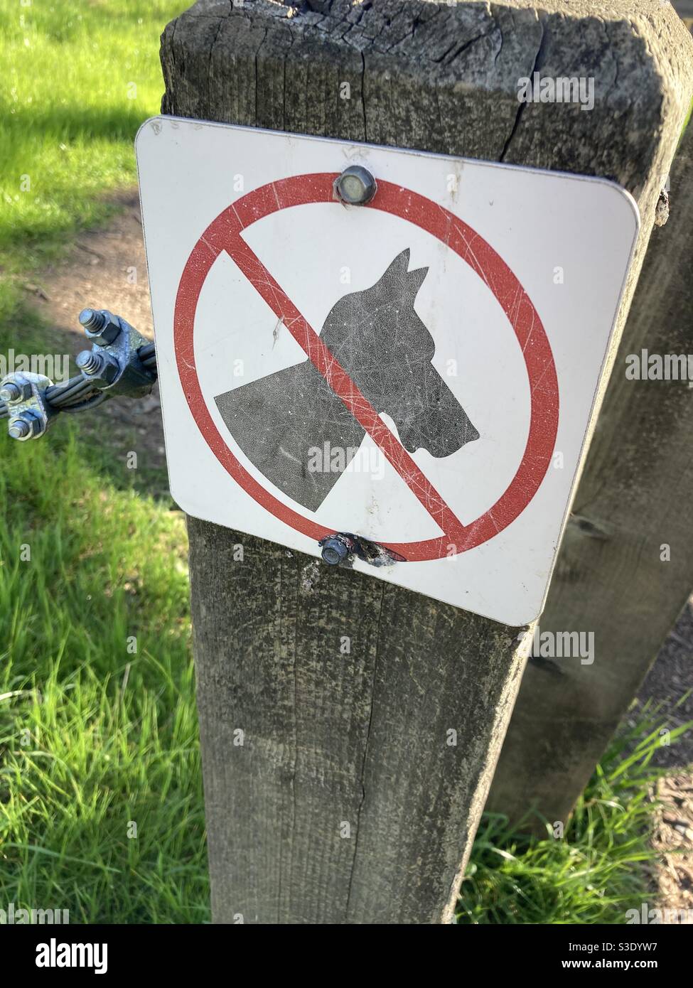 No dogs allowed sign hi-res stock photography and images - Alamy