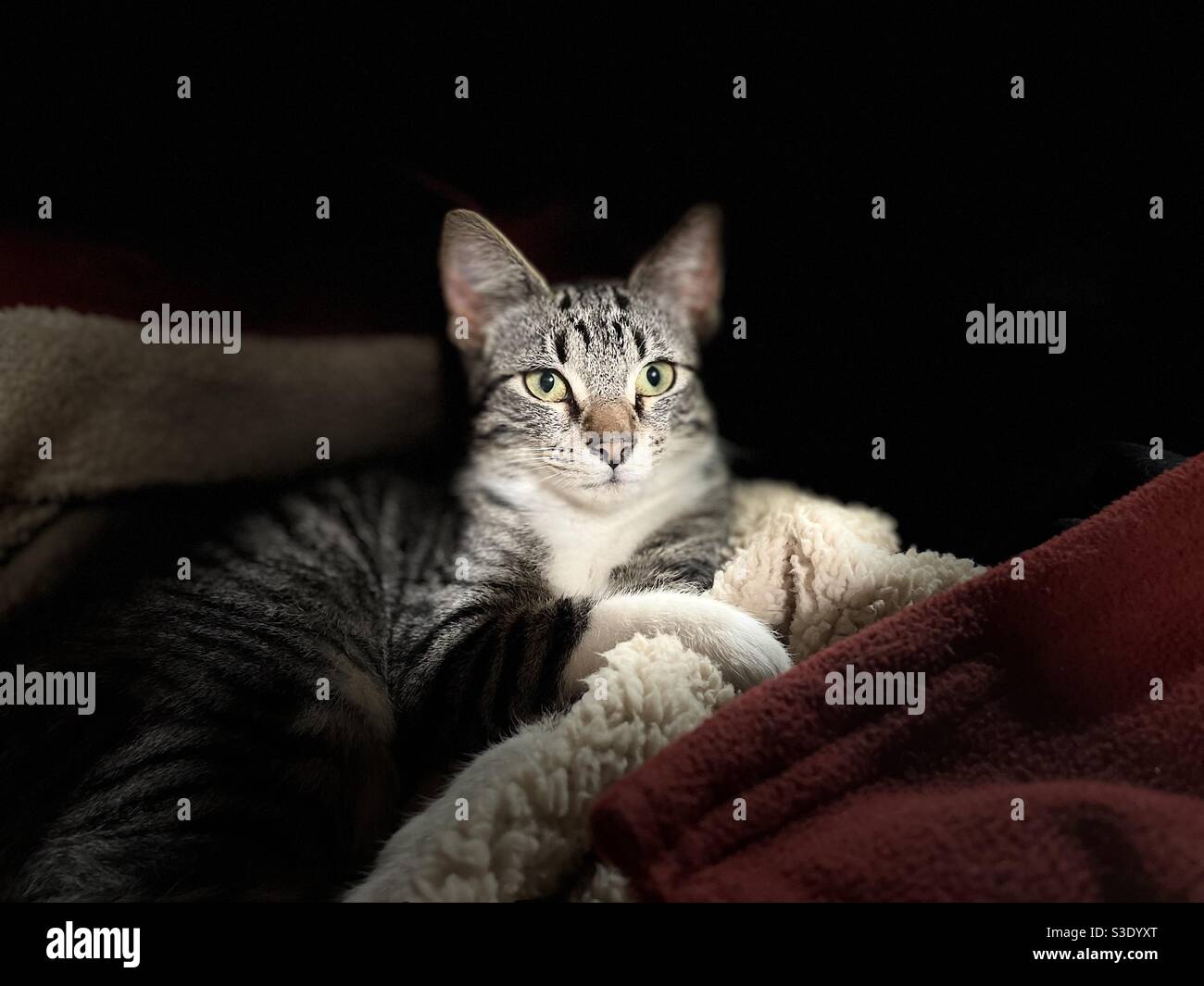 Take your pic hi-res stock photography and images - Alamy