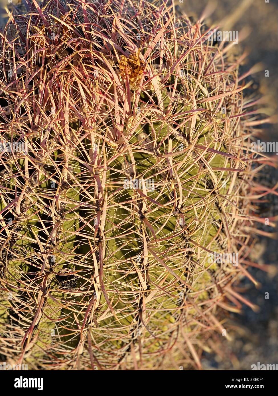 Ahwatukee arizona hi-res stock photography and images - Alamy