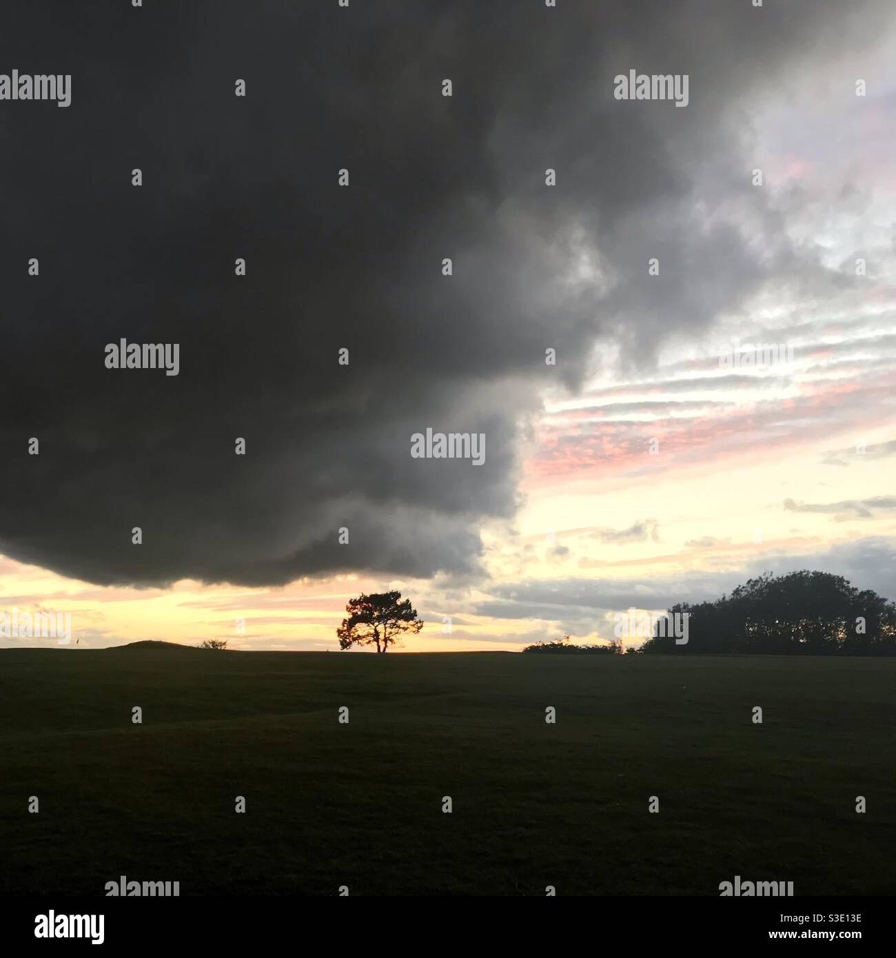 Weathering the storm hi-res stock photography and images - Alamy