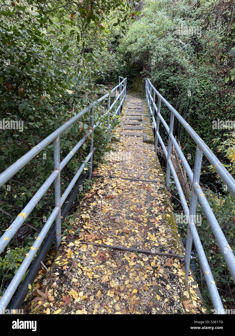 Beautiful bridge in traditional mountain village hiking trail in forest ...