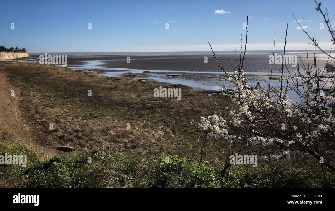 Pegwell bay nature reserve hi-res stock photography and images - Alamy