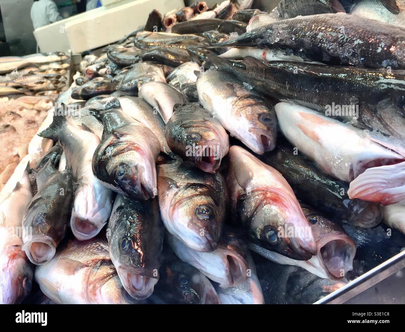 Fish for sale Stock Photo - Alamy