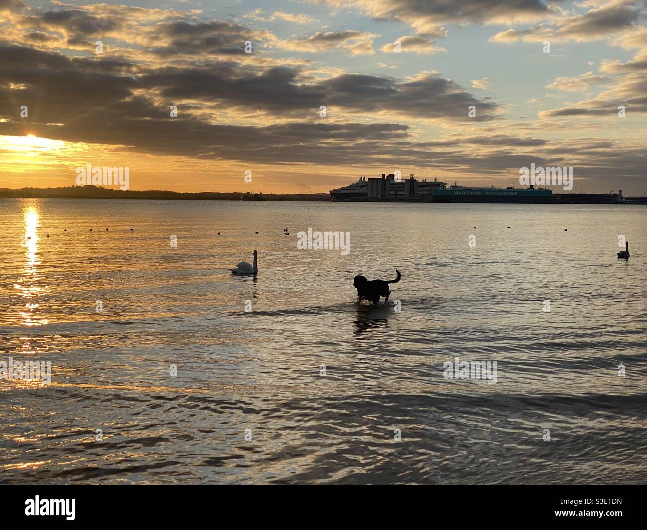 Southampton beach walk High Resolution Stock Photography and Images - Alamy