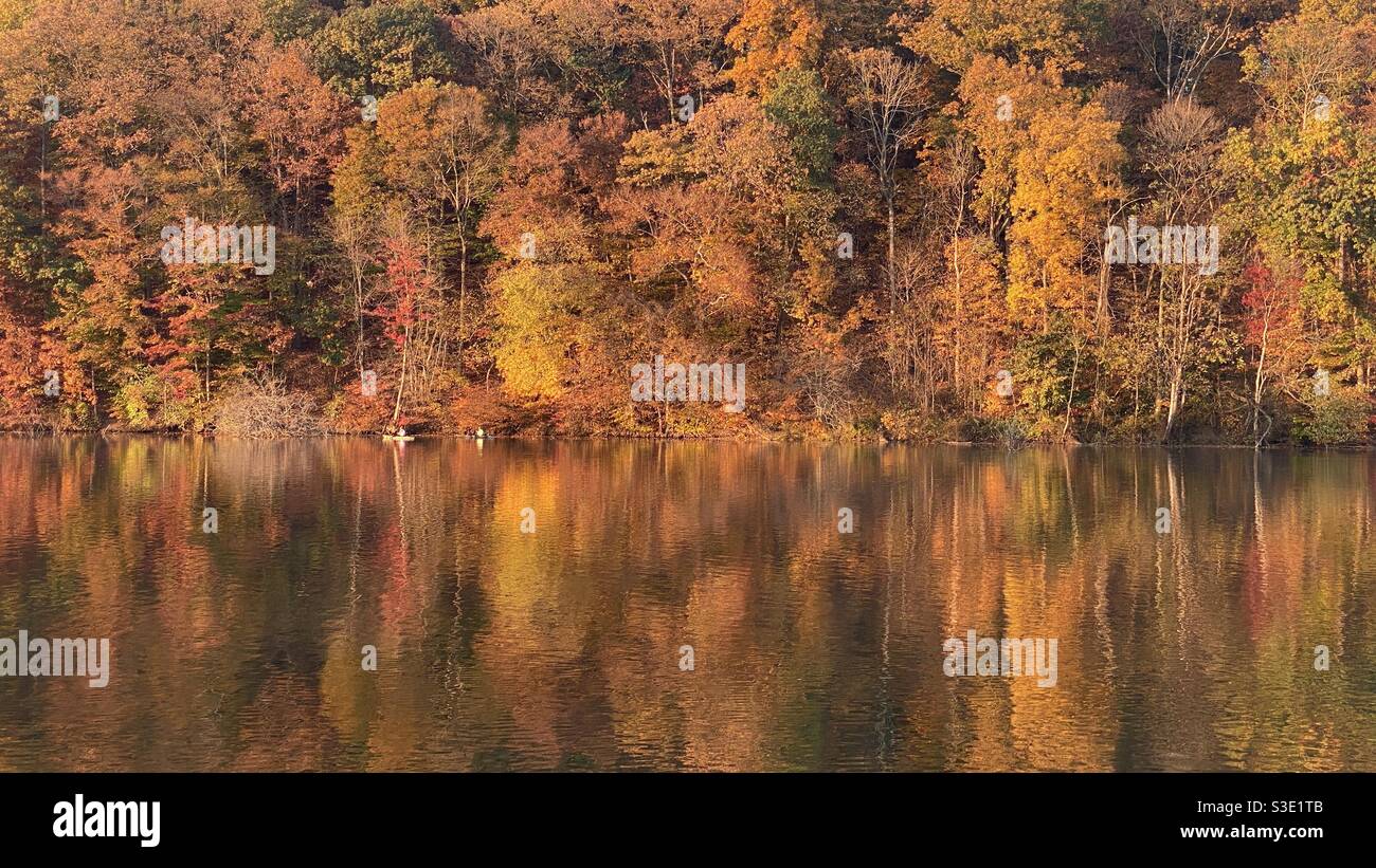 Colorful fall foliage hi-res stock photography and images - Alamy
