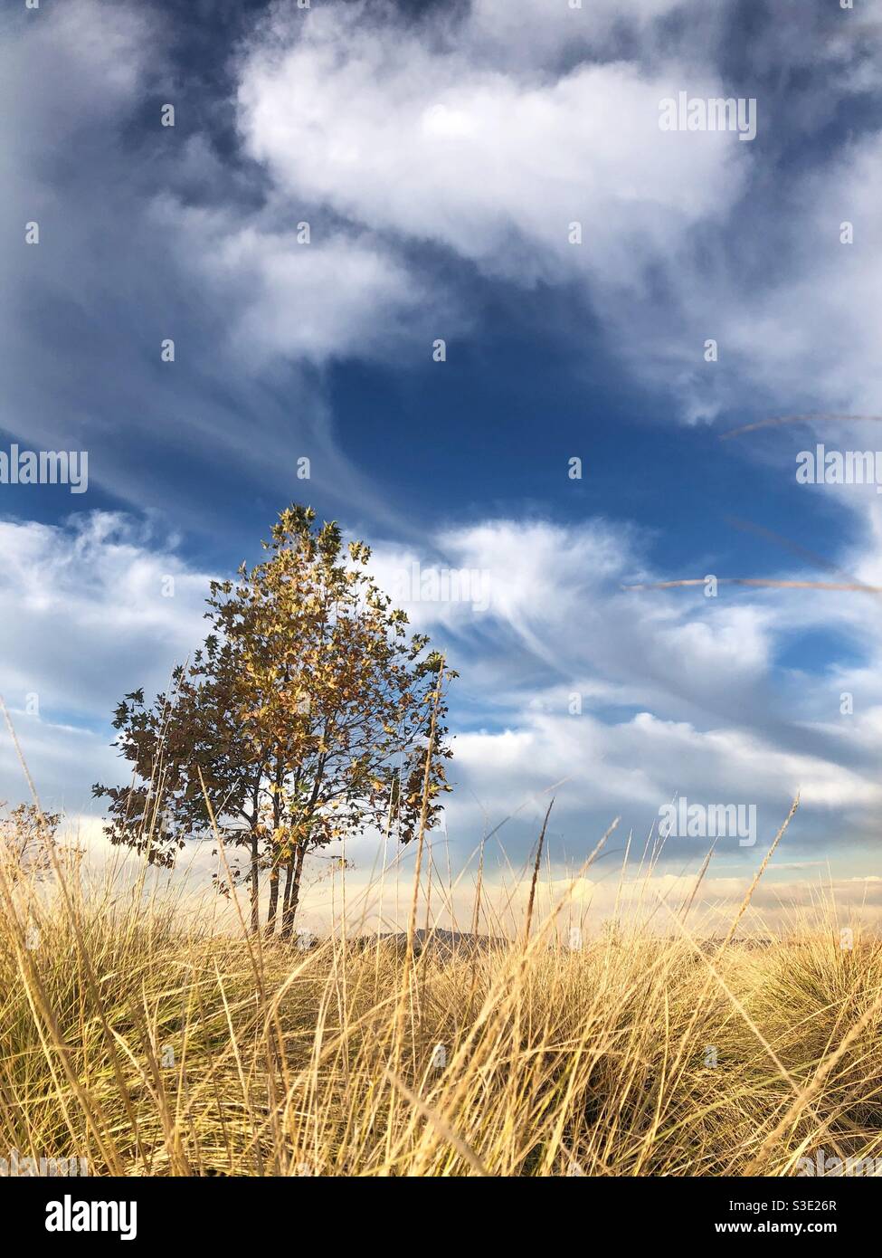 Cloud wind hi-res stock photography and images - Alamy