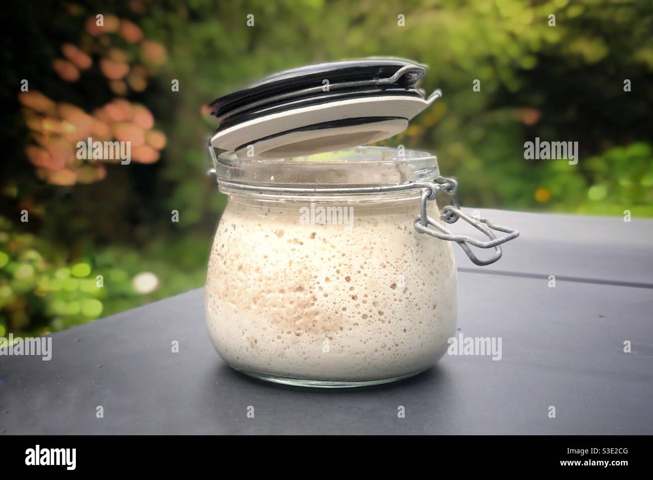 Sourdough starter hi-res stock photography and images - Alamy
