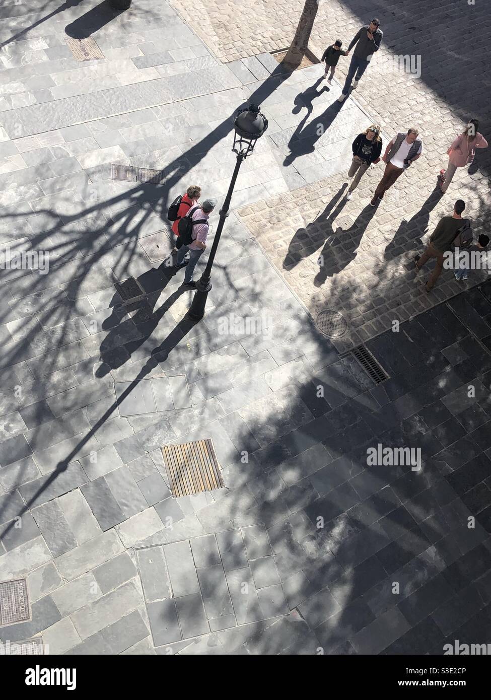 Aerial Shot Of People