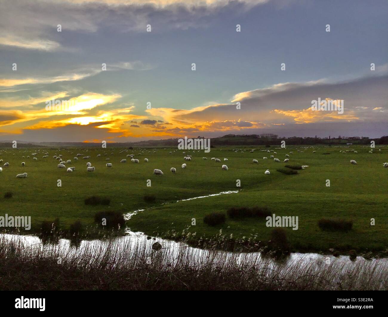 Land of sheep hi-res stock photography and images - Alamy