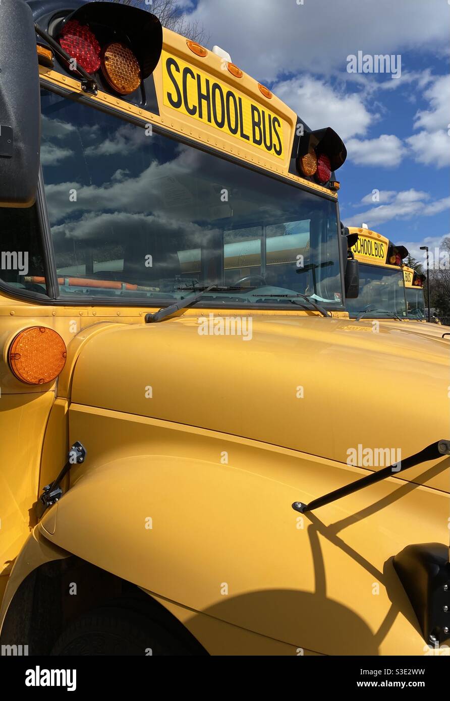 Start of school - yellow school buses lined up Stock Photo - Alamy