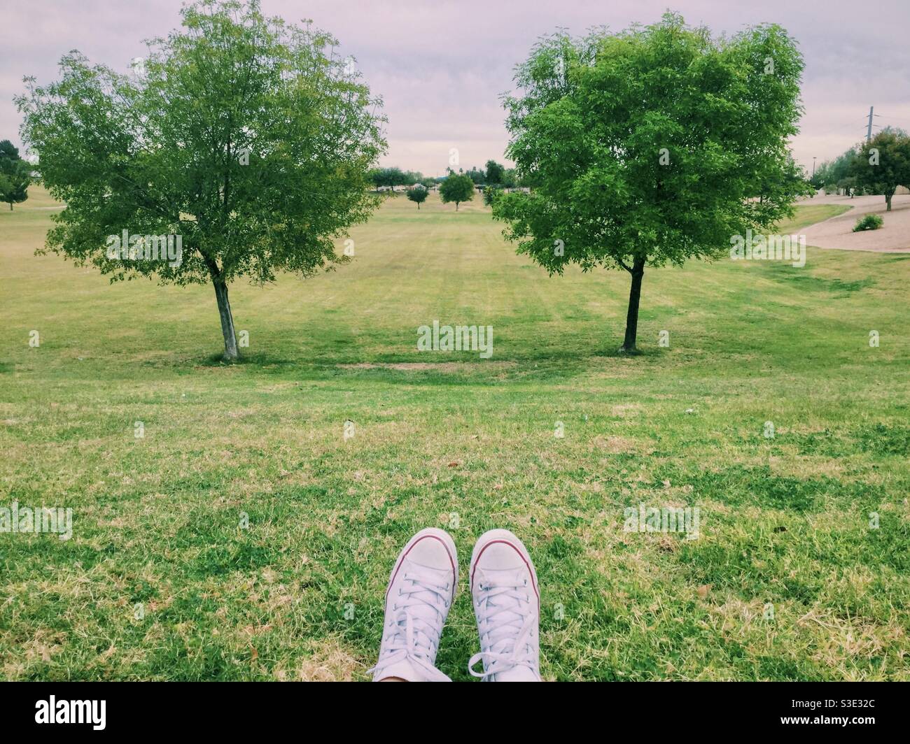 Park trees green hi-res stock photography and images - Alamy