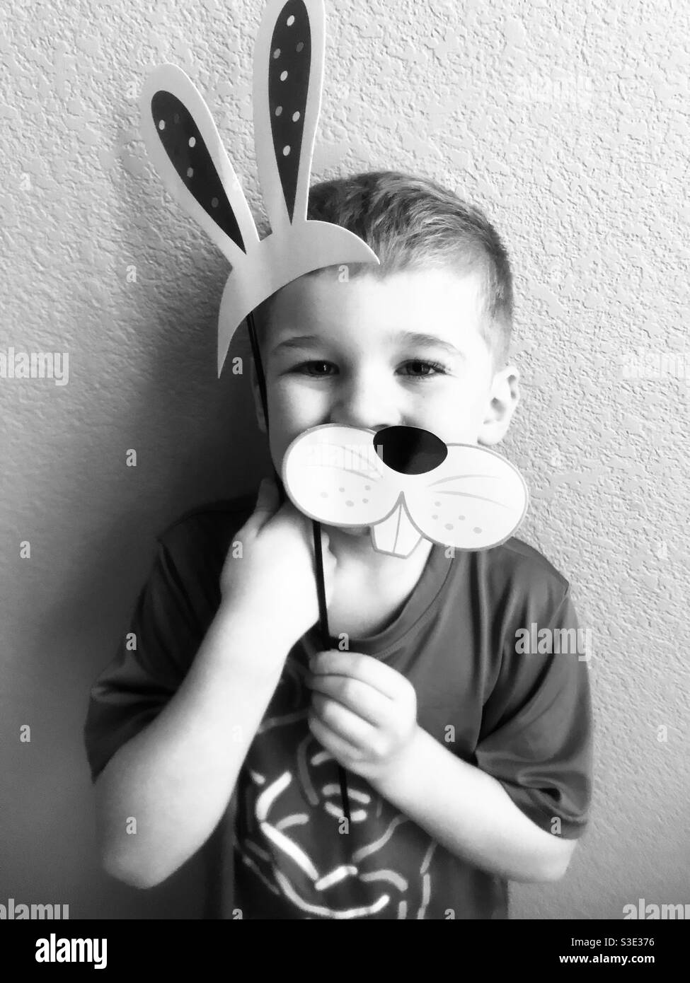 Black rabbit with white nose hi-res stock photography and images - Alamy